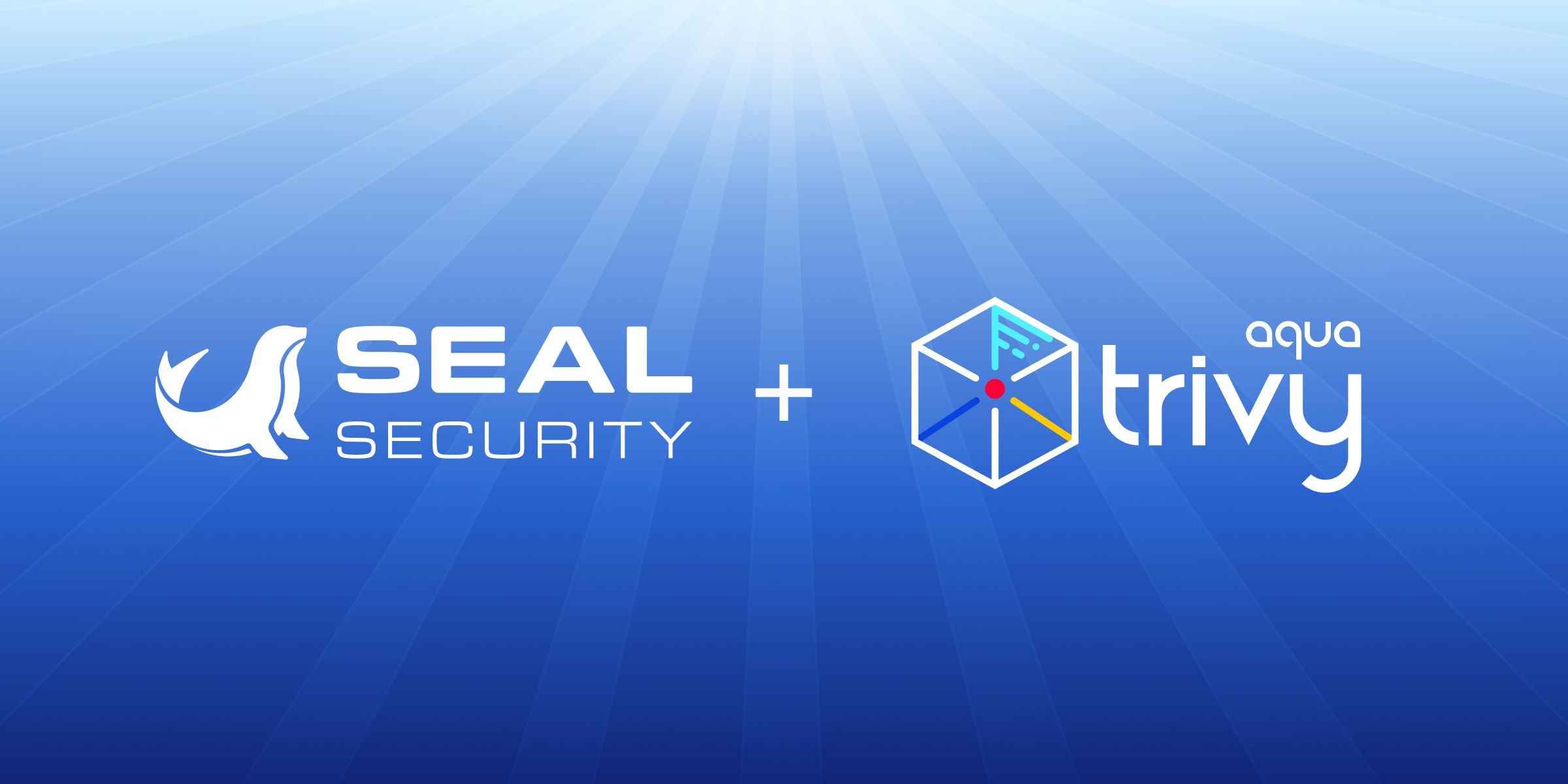 We don't just find vulnerabilities, We fix them | Seal Security